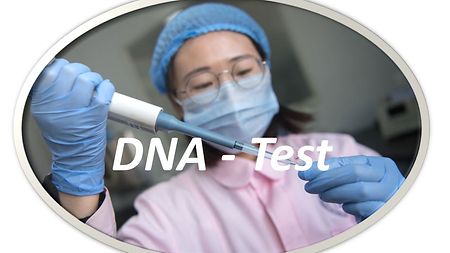 Establishment of family relationship through DNA-testing - Federal ...